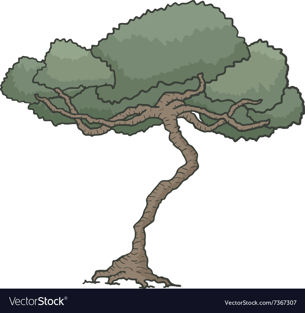 Oak Royalty Free Vector Image - VectorStock