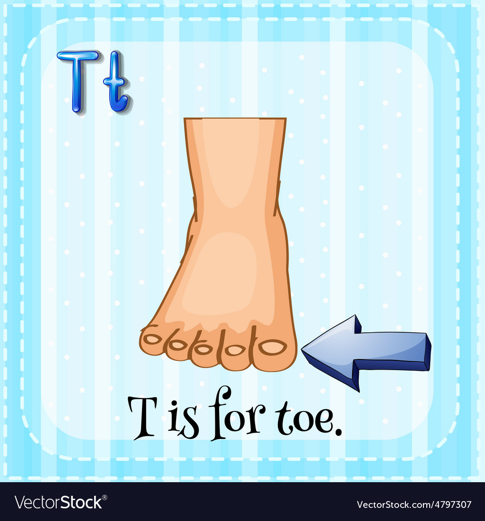 Toe nail Royalty Free Vector Image - VectorStock