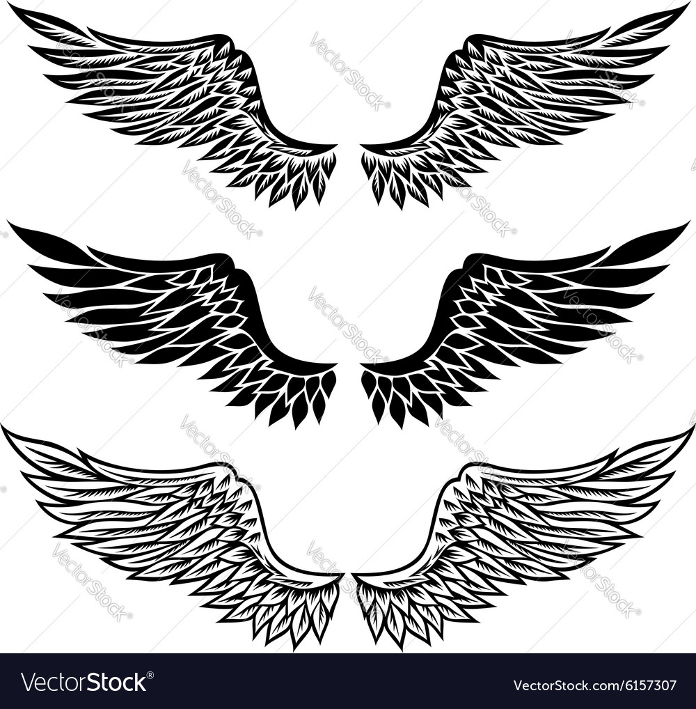 Wings Royalty Free Vector Image - VectorStock