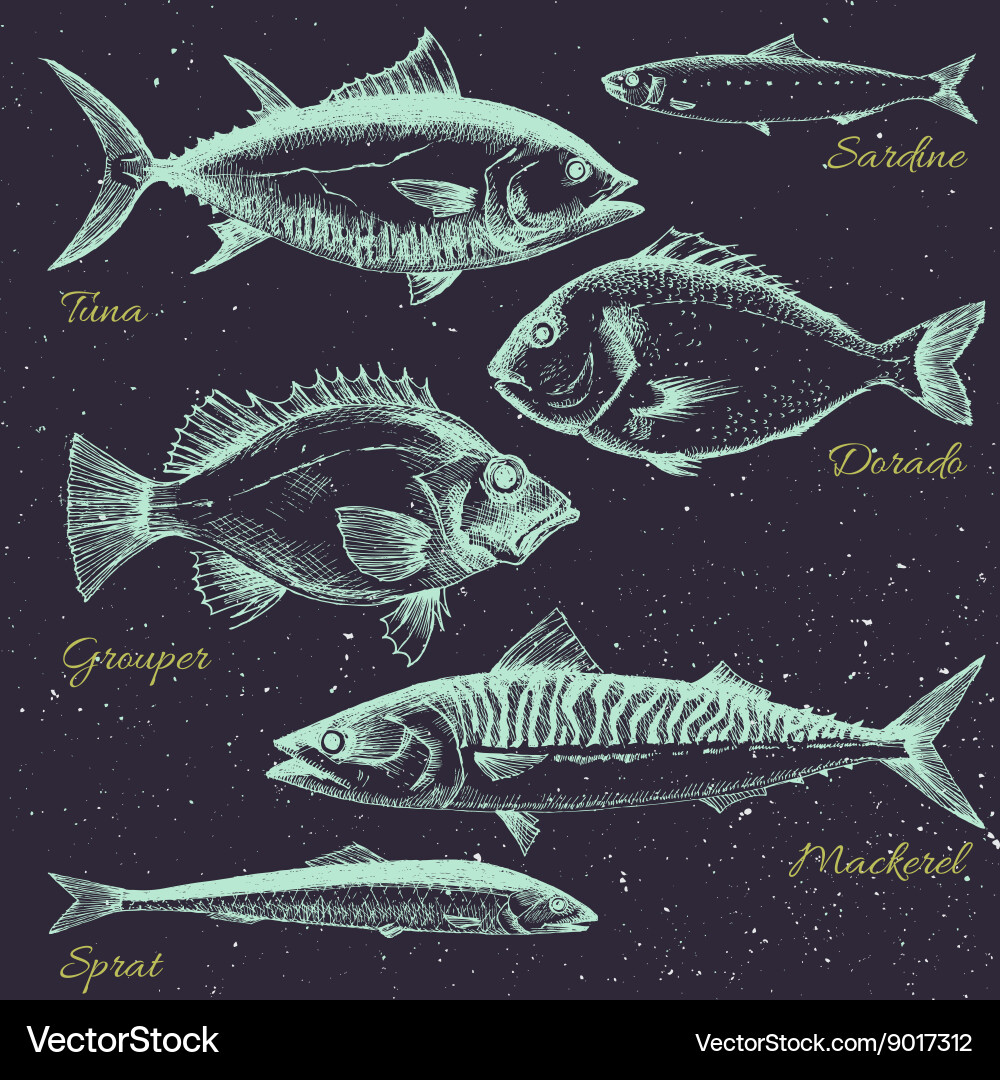 Hand drawn sea life Royalty Free Vector Image - VectorStock