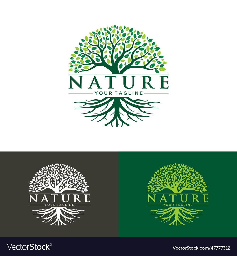 Tree logo Royalty Free Vector Image - VectorStock