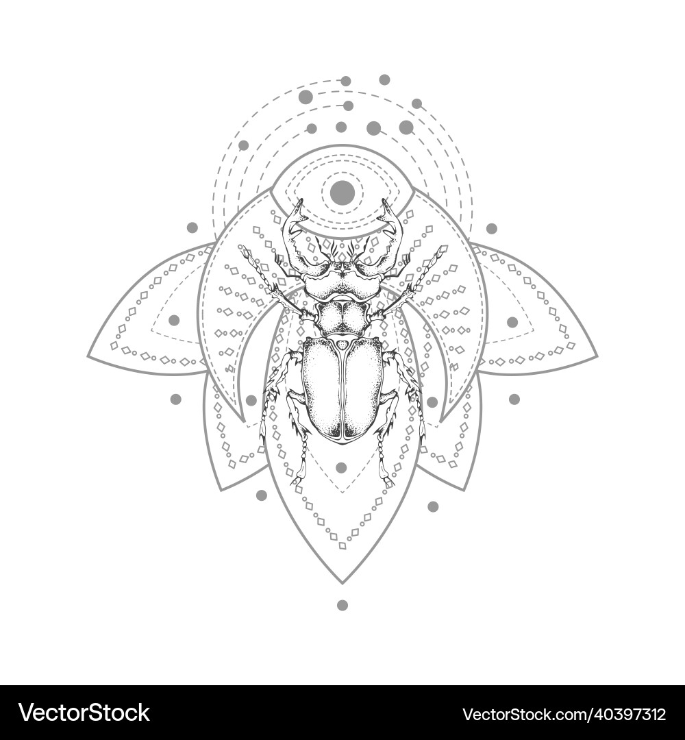 With hand drawn stag beetle and sacred geometric Vector Image