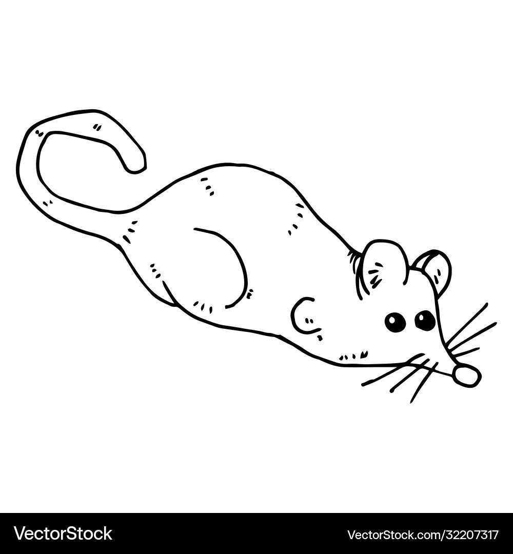 Mouse rat icon cartoon rat hand drawn Royalty Free Vector