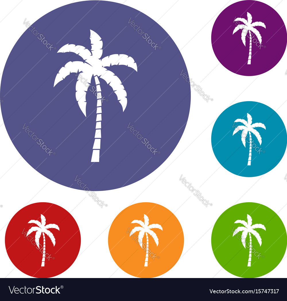 Palm tree icons set Royalty Free Vector Image - VectorStock Palm tree icons set Royalty Free Vector Image - VectorStock