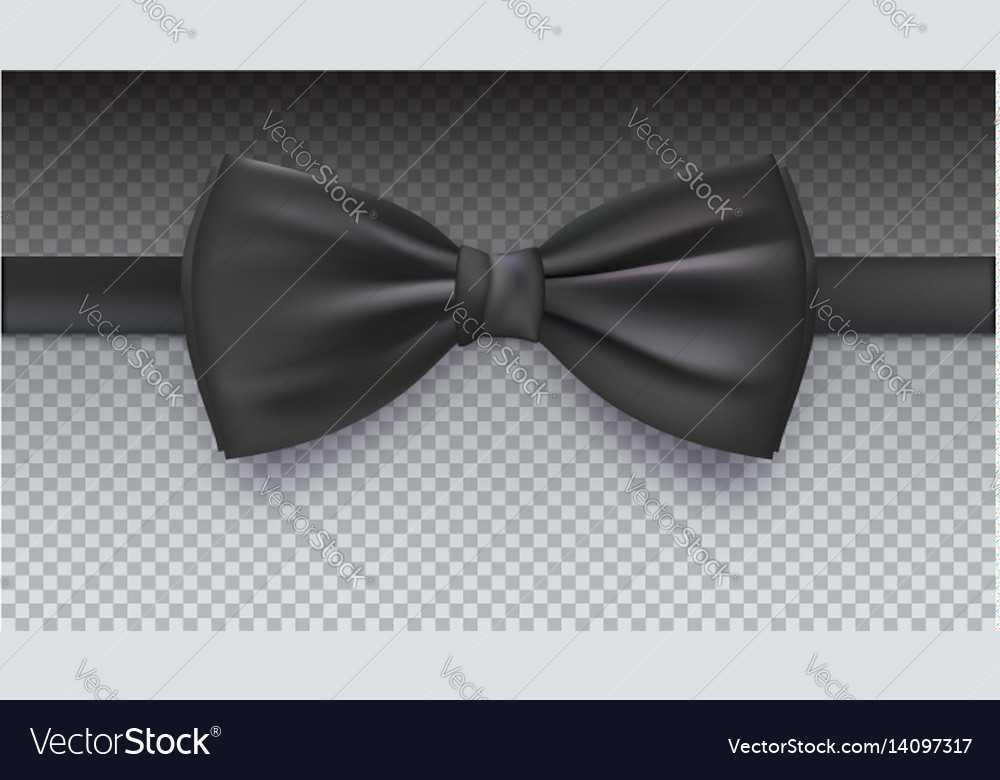 Realistic black bow tie Royalty Free Vector Image