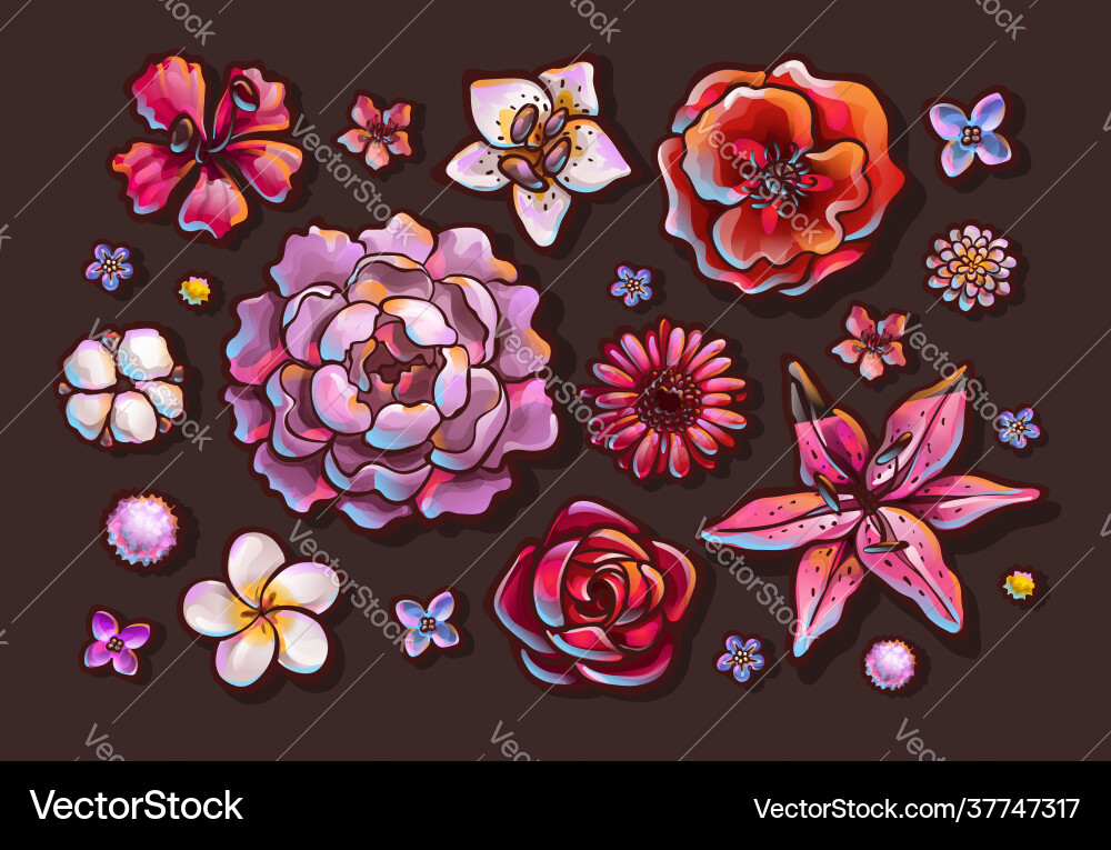 Set flower buds top view colorful Royalty Free Vector Image
