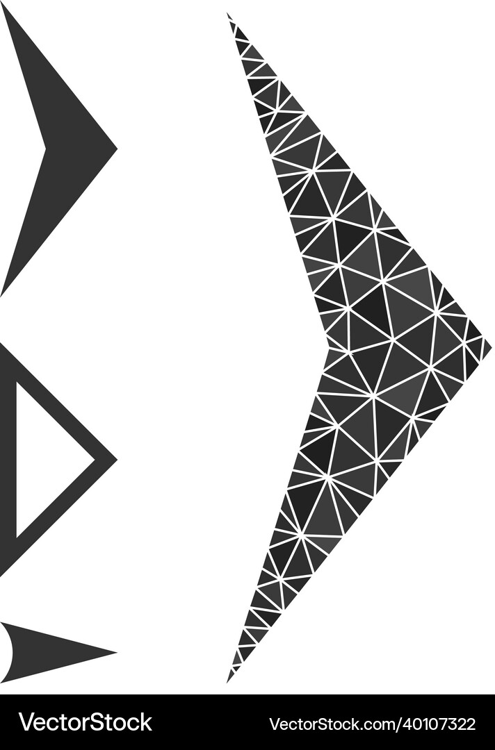 Polygonal arrowhead right icon and bonus Vector Image