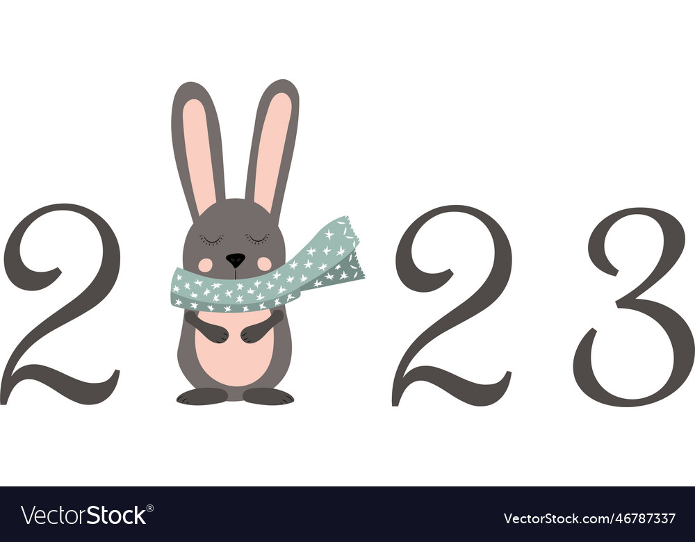 2023 year of the rabbit high quality illu Vector Image