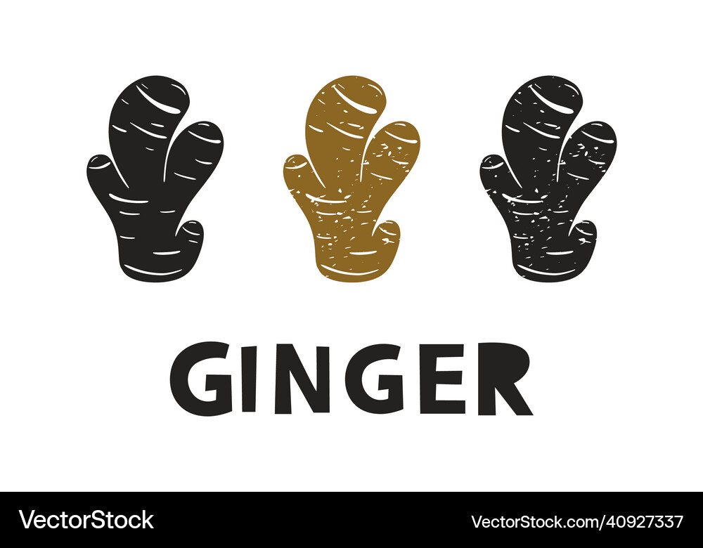 Ginger silhouette icons set with lettering Vector Image