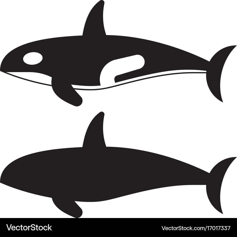 Killer orca whale icon Royalty Free Vector Image