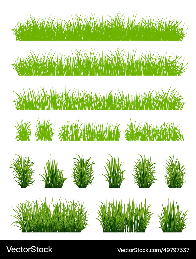 Set of green grass isolated Royalty Free Vector Image