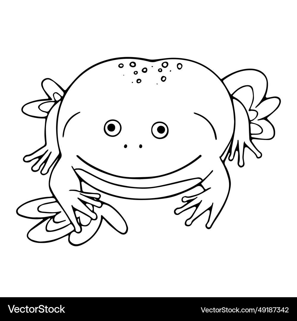 Outline budgett s frog funny toad with smile Vector Image