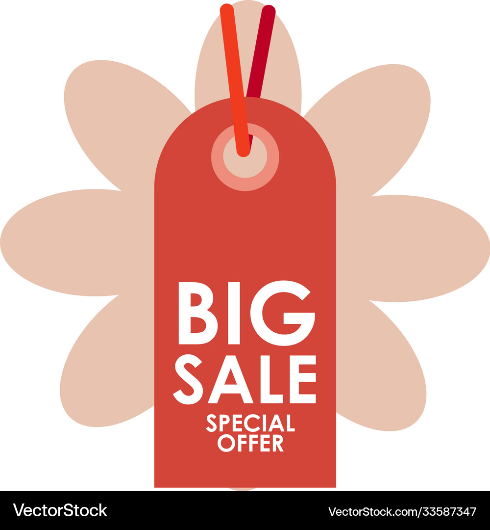 Big sale special offer tag label template design Vector Image