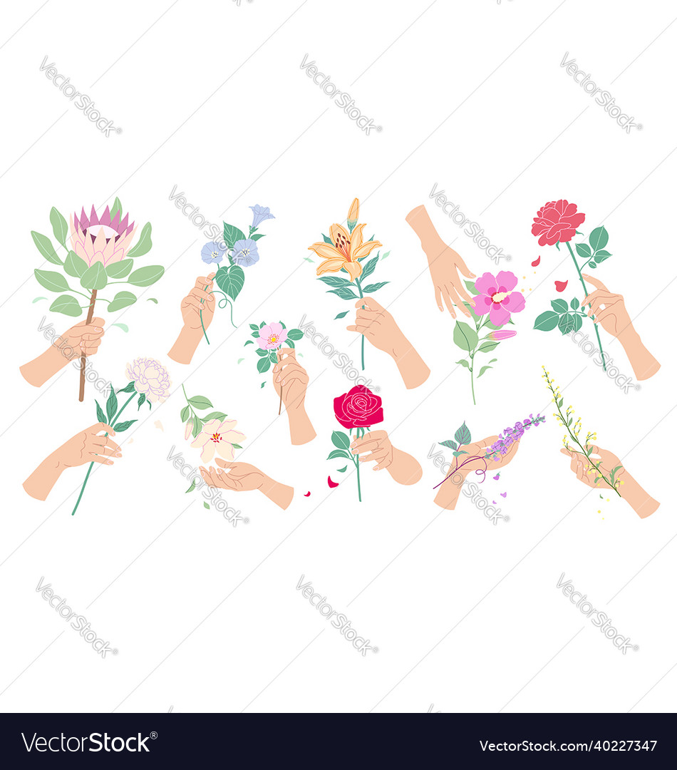 Floral compositions with female hands and flowers Vector Image