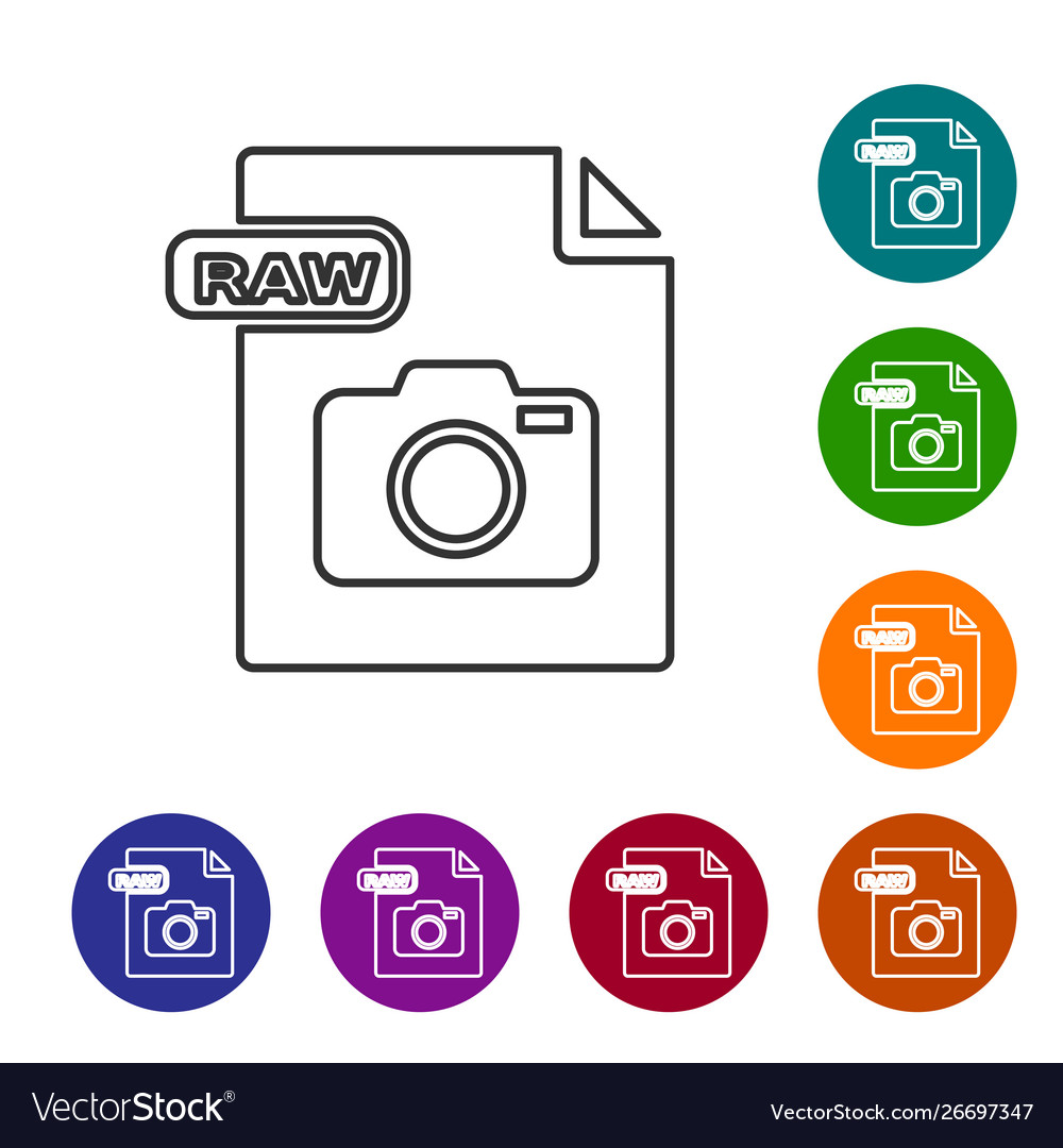 Grey line raw file document download raw button Vector Image