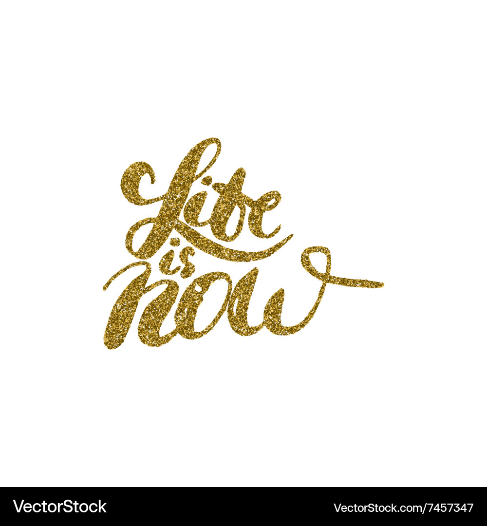 Life is now - hand painted brush pen modern Vector Image