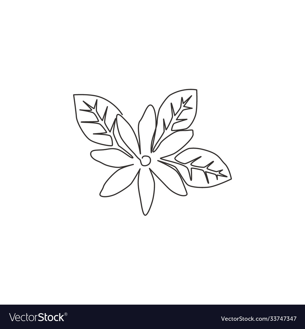 One Single Line Drawing Beauty Fresh Deciduous Vector Image