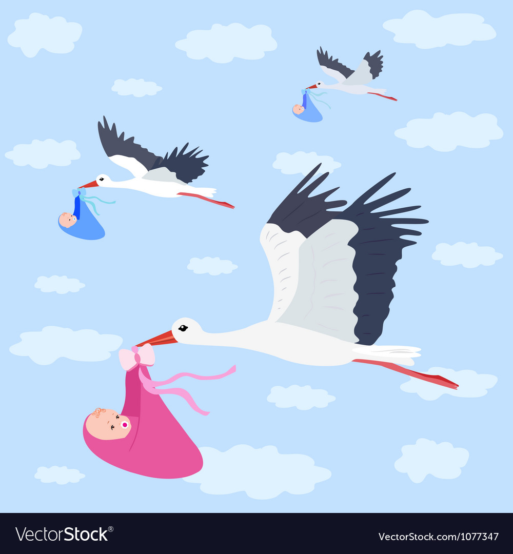 Storks Royalty Free Vector Image - VectorStock