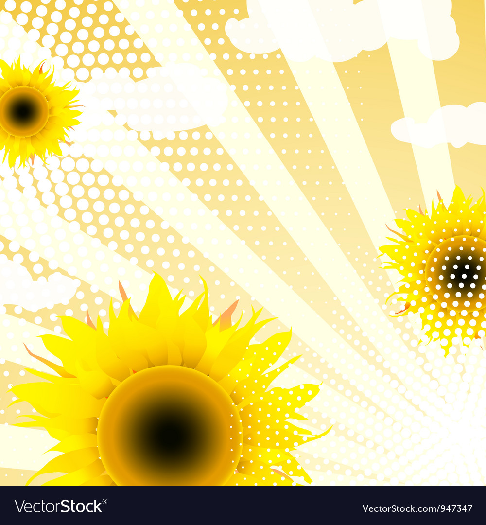 Sunflower background Royalty Free Vector Image
