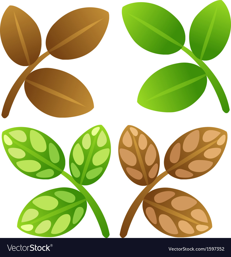 Leaves Royalty Free Vector Image - VectorStock