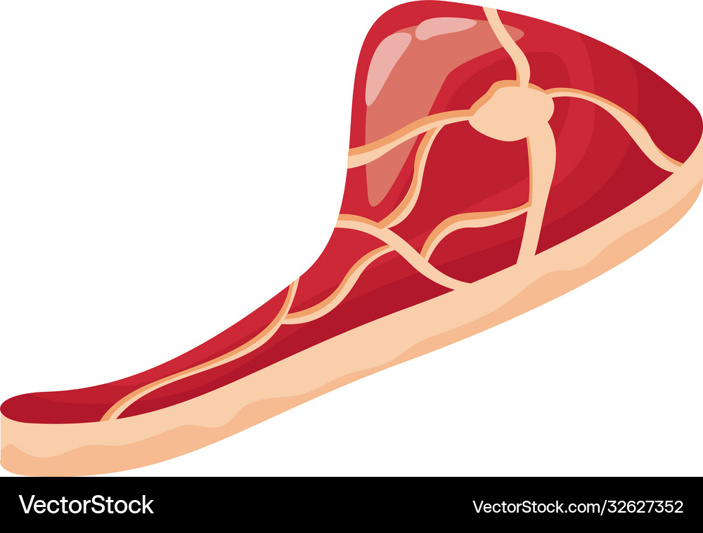 Meat cut detailed style icon Royalty Free Vector Image