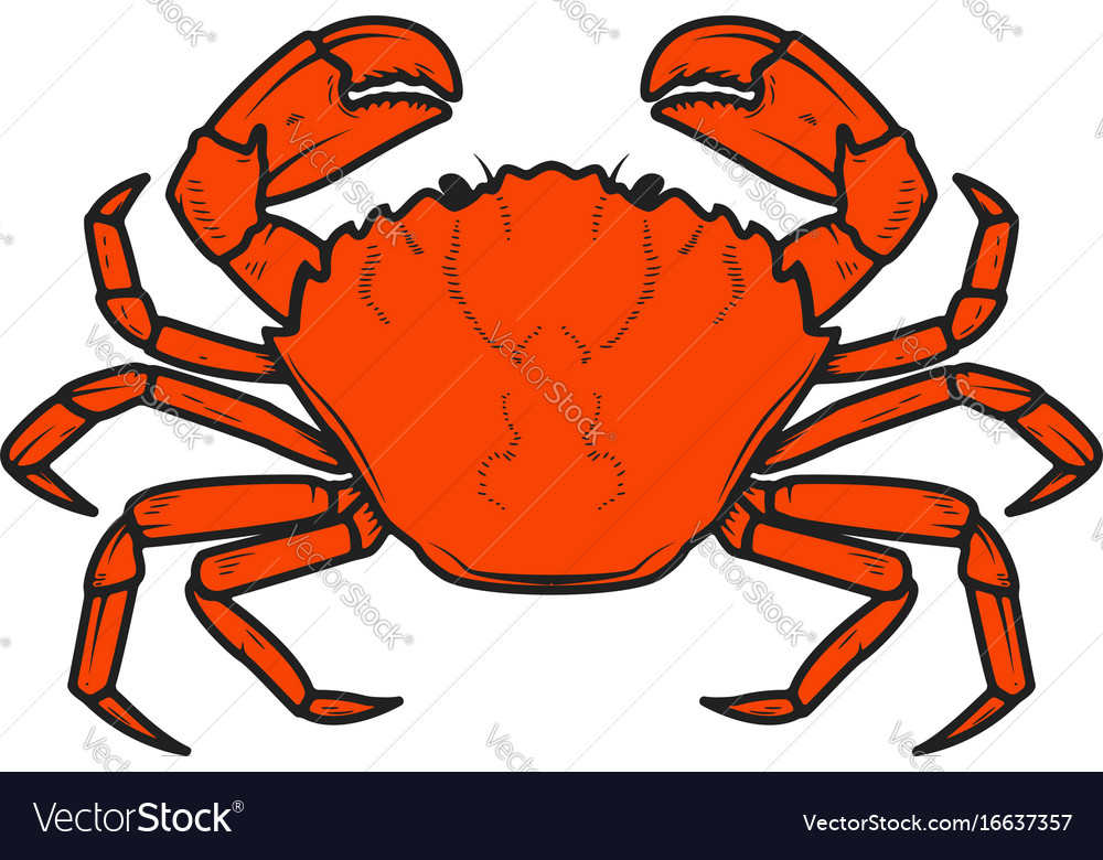 Crab icon isolated on white background design Vector Image