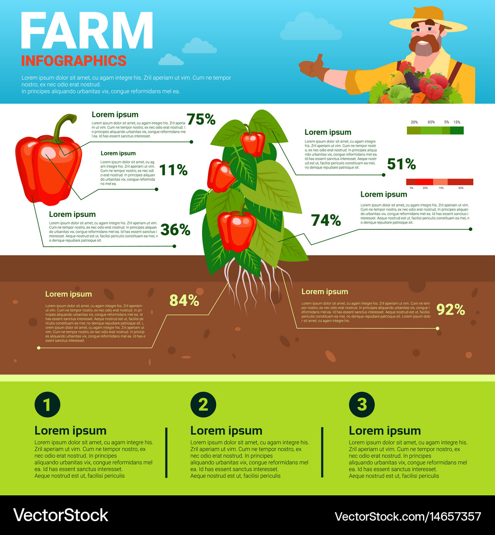 Farming infographics eco friendly organic natural Vector Image