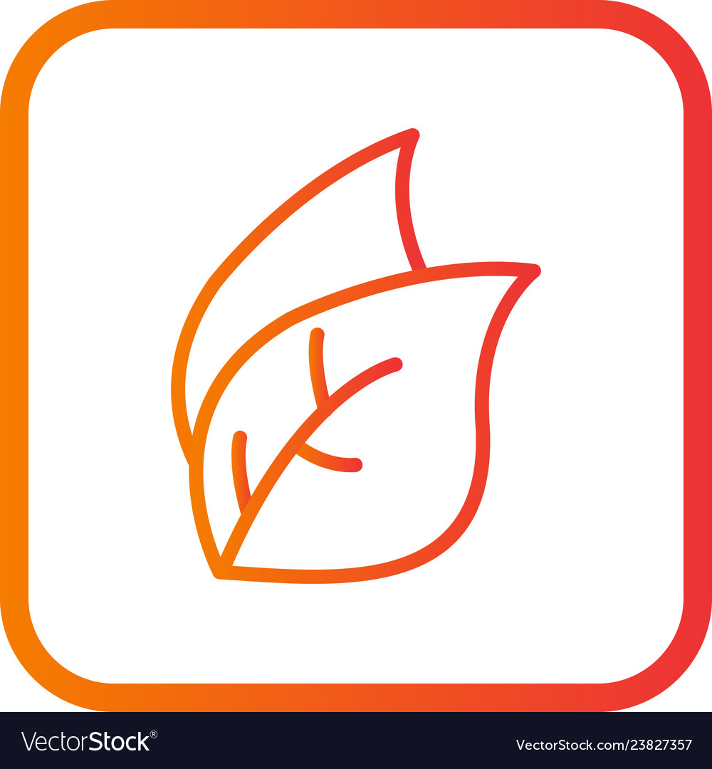 Leaf icon Royalty Free Vector Image - VectorStock
