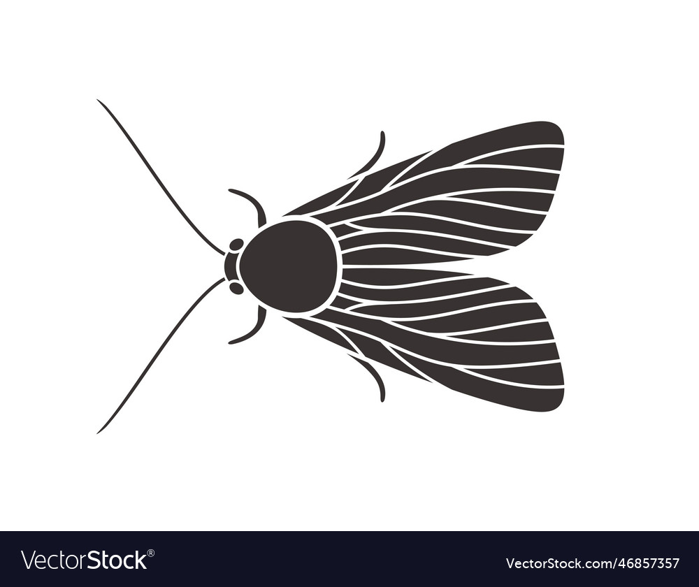 Moth Royalty Free Vector Image - VectorStock
