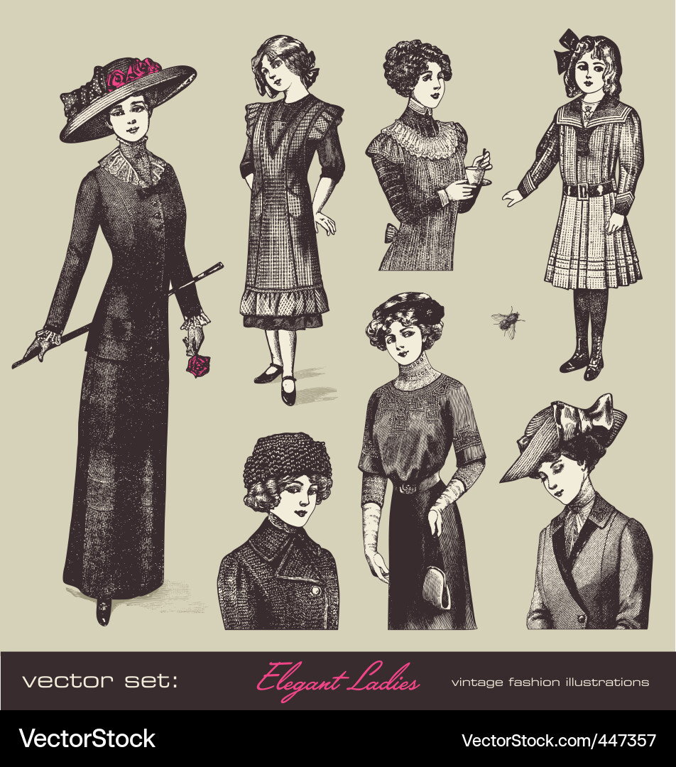 Set elegant ladies Royalty Free Vector Image - VectorStock