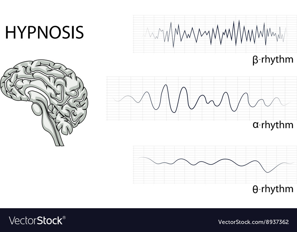 Brain electrical waves Royalty Free Vector Image