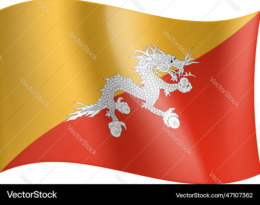 Immunization icon of bhutan Royalty Free Vector Image