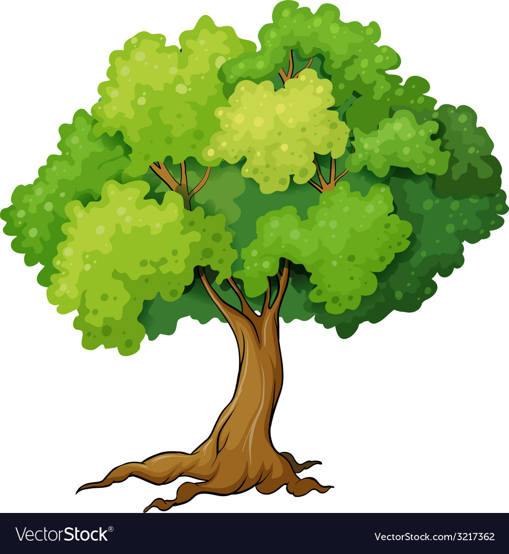 Tree Royalty Free Vector Image - VectorStock