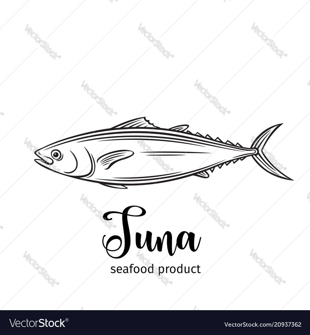 Tuna Royalty Free Vector Image - VectorStock Tuna Royalty Free Vector Image - VectorStock