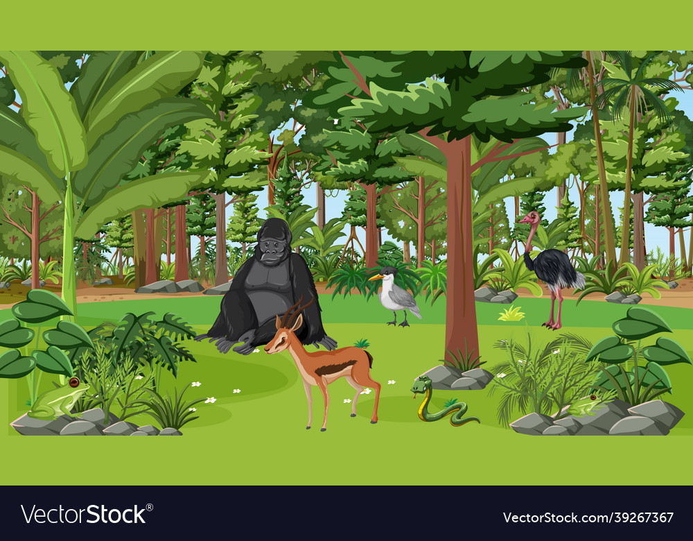 Forest scene with different wild animals Vector Image