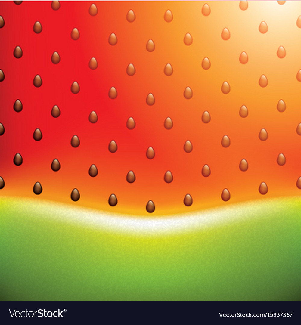 Watermelon background Royalty Free Vector Image