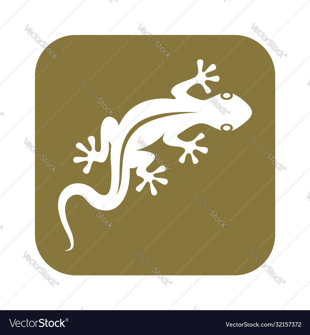 Gecko Royalty Free Vector Image - VectorStock