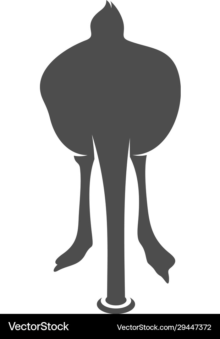 Ostrich logo animal graphic design Royalty Free Vector Image