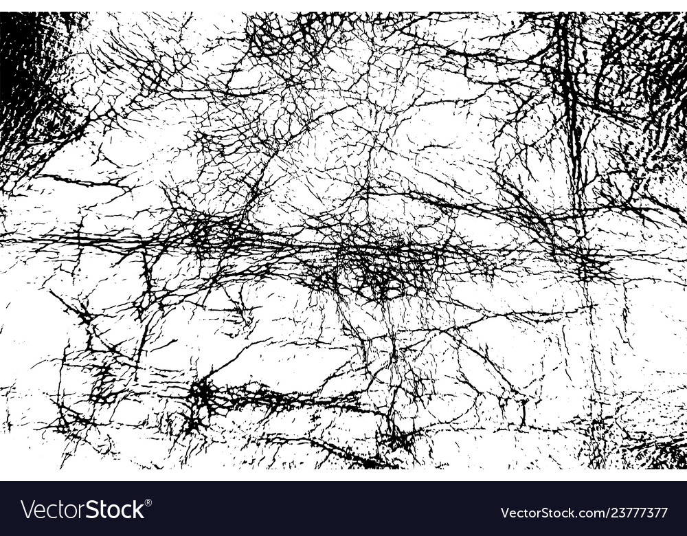 Leather overlay texture Royalty Free Vector Image Leather overlay texture Royalty Free Vector Image