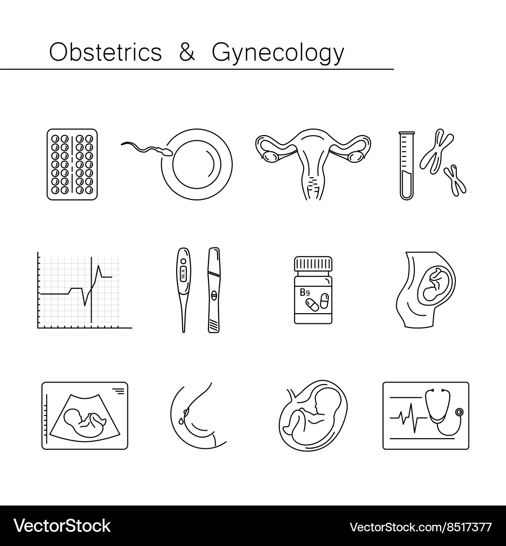 Medicine and pregnancy line icon Royalty Free Vector Image