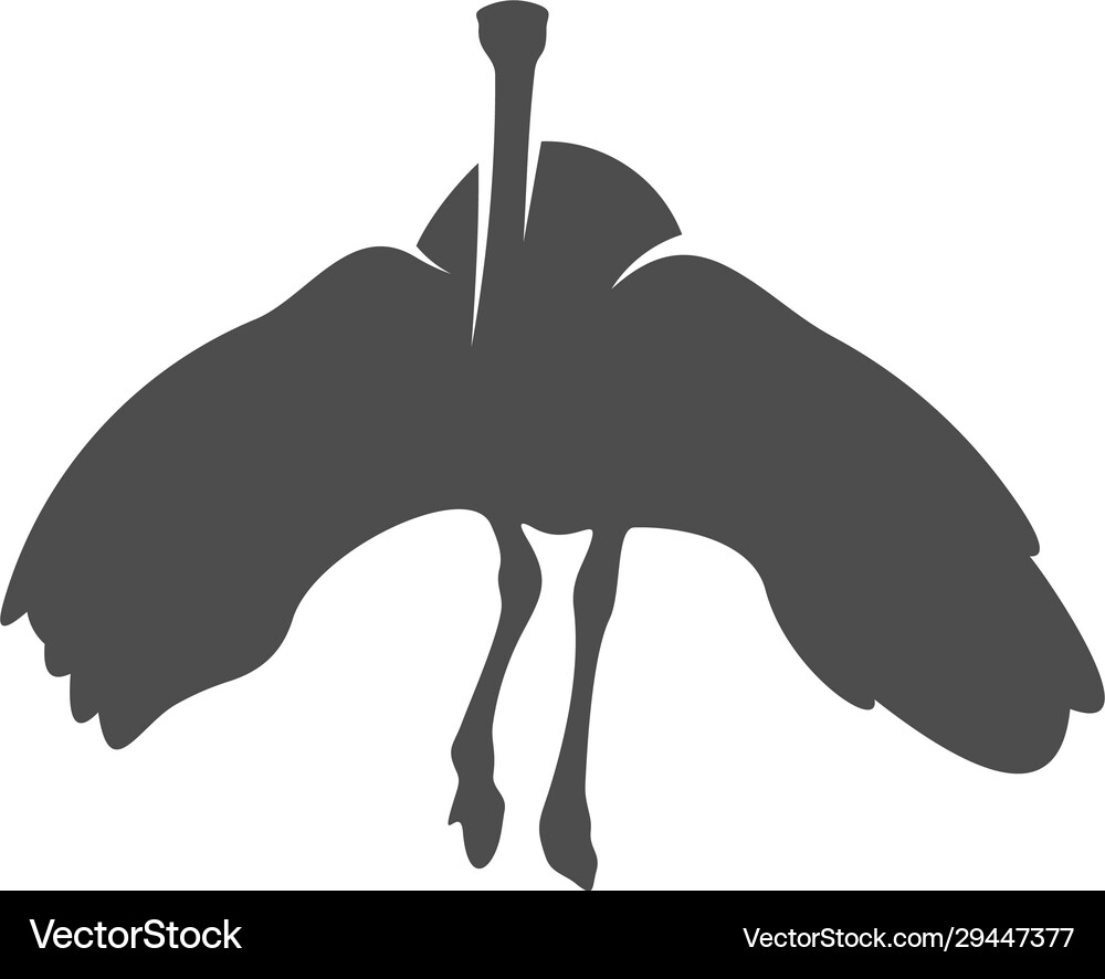Ostrich logo animal graphic design Royalty Free Vector Image