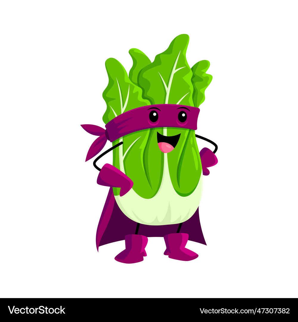 Cartoon romaine cabbage vegetable hero character Vector Image