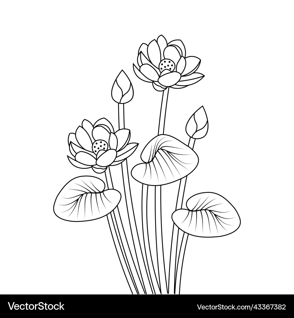 Indian Lotus Flower Art Drawing Sketch Indian Lotus Flower Pattern