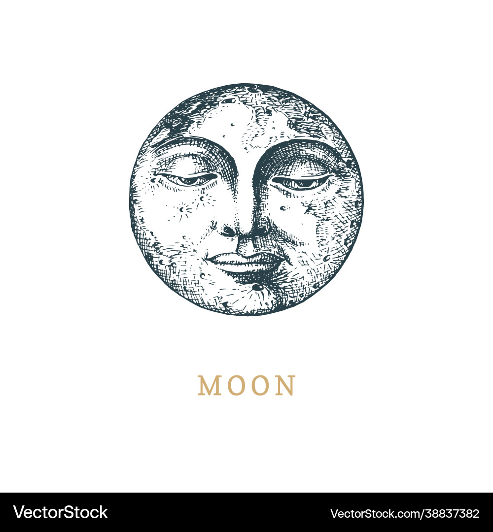 Moon hand drawn in engraving style sketch Vector Image