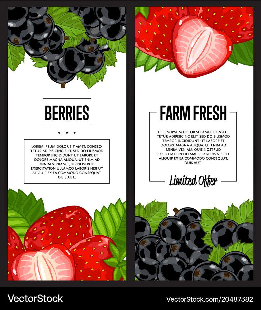 Organic farm fresh berry flyer set Royalty Free Vector Image