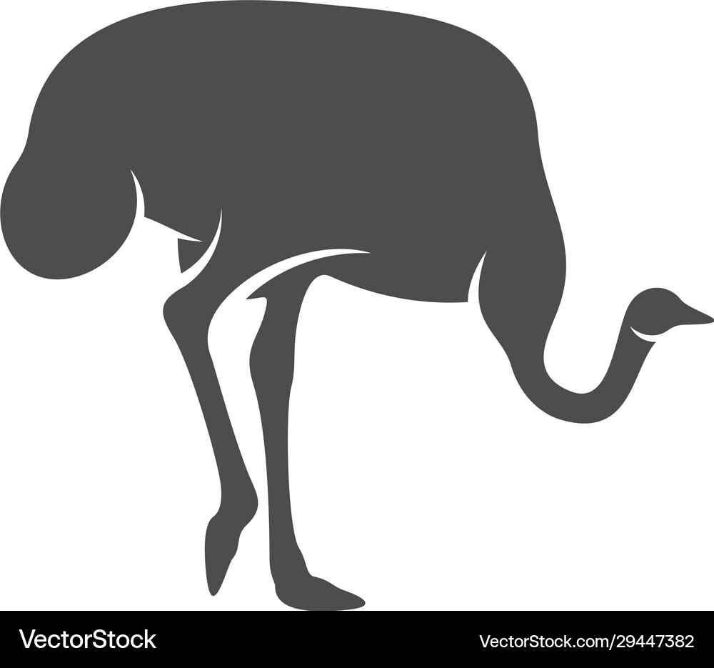 Ostrich logo animal graphic design Royalty Free Vector Image