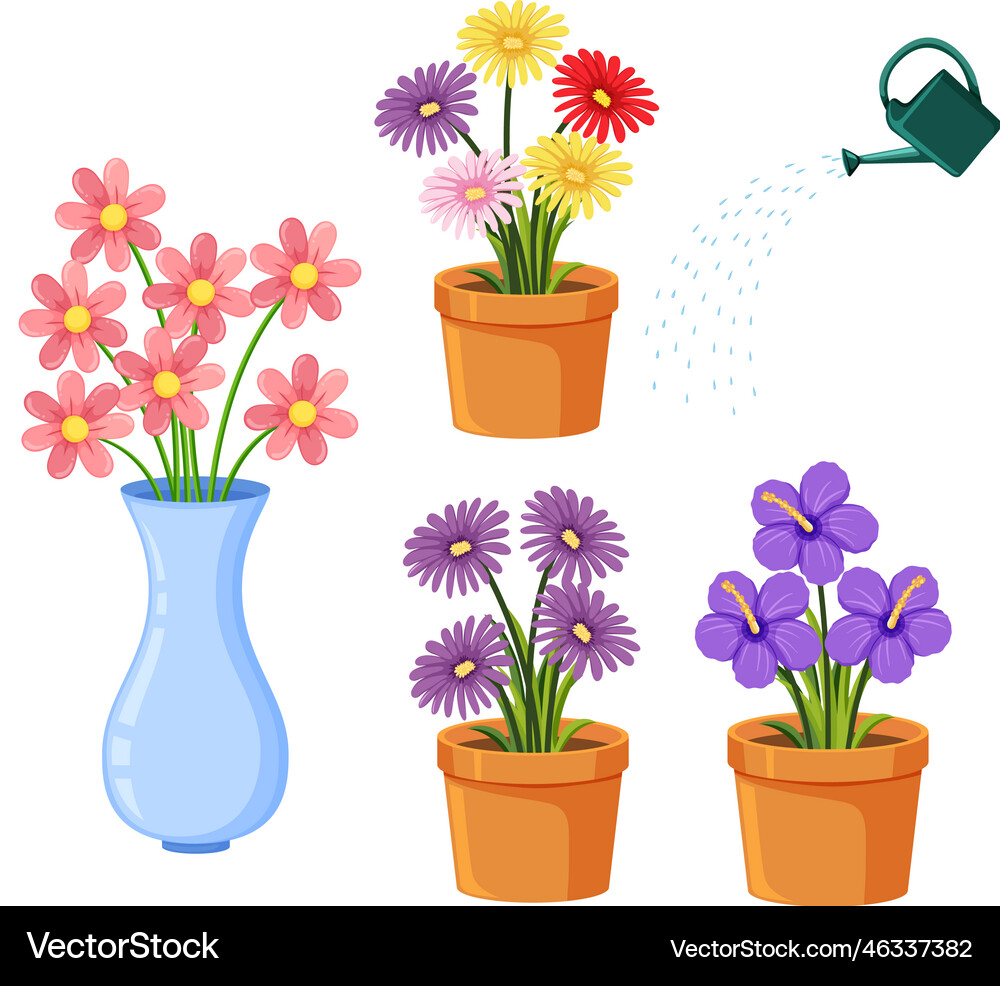 Set of different flowers in pots Royalty Free Vector Image