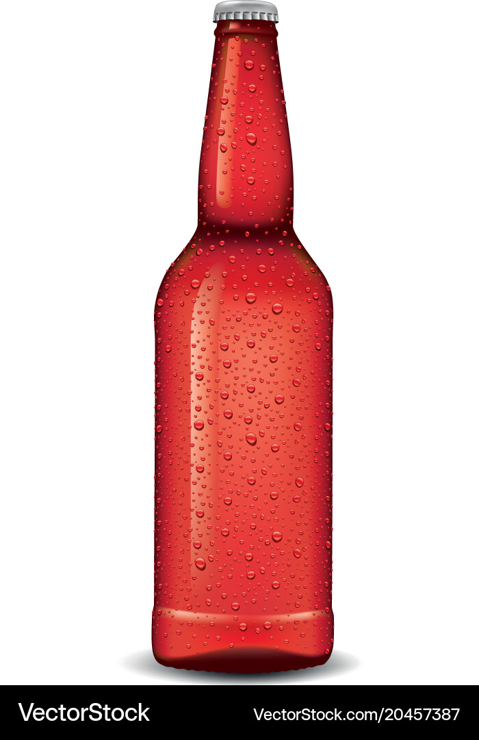 Set glass beer cider bottles isolated Royalty Free Vector