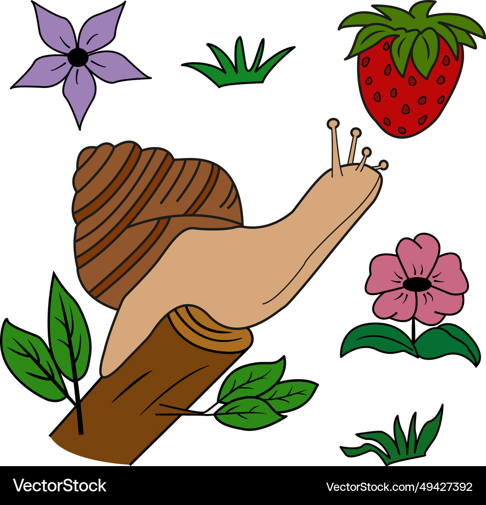 Cartoon snail on a branch Royalty Free Vector Image