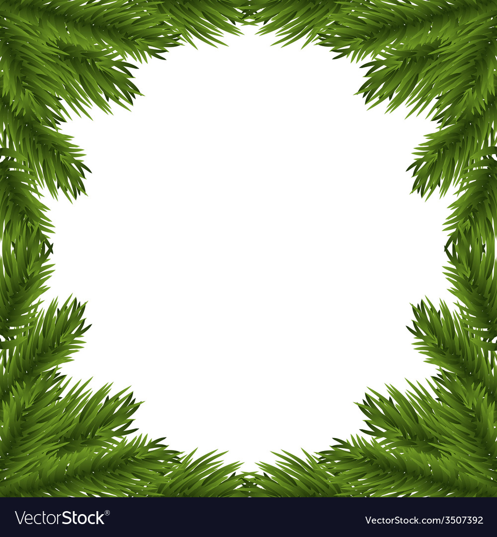 Fir tree branches frame Royalty Free Vector Image